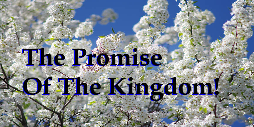 The Promise Of The Kingdom – Living Truth